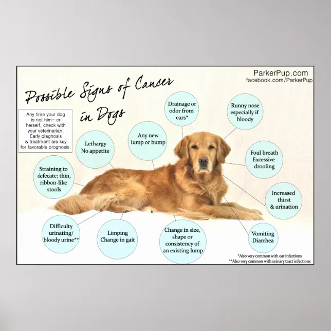 Signs of Cancer Poster | Zazzle