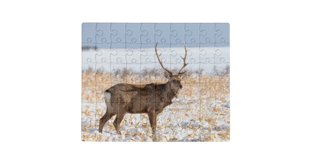 Sika Stag In a Snowy Field | Japan Jigsaw Puzzle | Zazzle