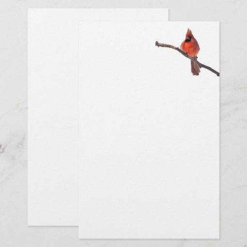 Silent wonders stationary Cardinal Stationery | Zazzle