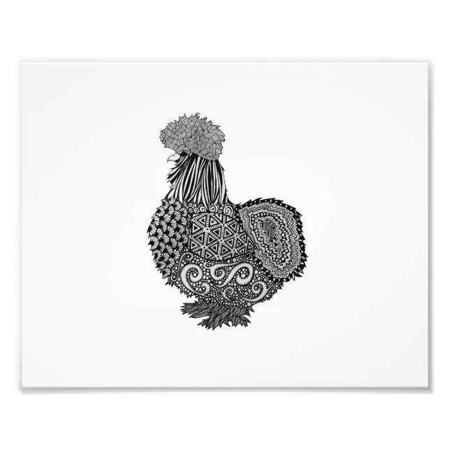 silkie chicken drawing photo print | Zazzle
