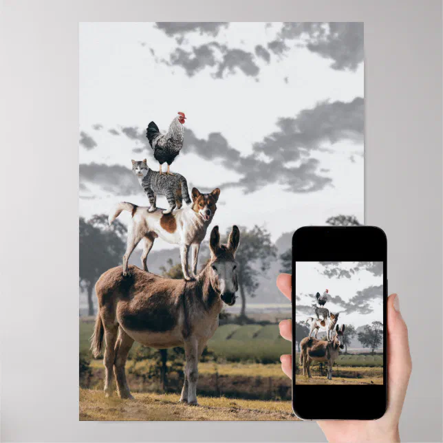 Silly Animal Poster | Zazzle