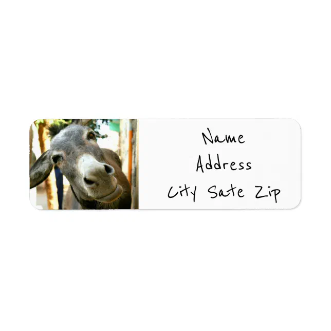 "SILLY DONKEY" RETURN ADDRESS LABELS | Zazzle