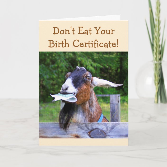 Silly Goat Birthday Card | Zazzle.com
