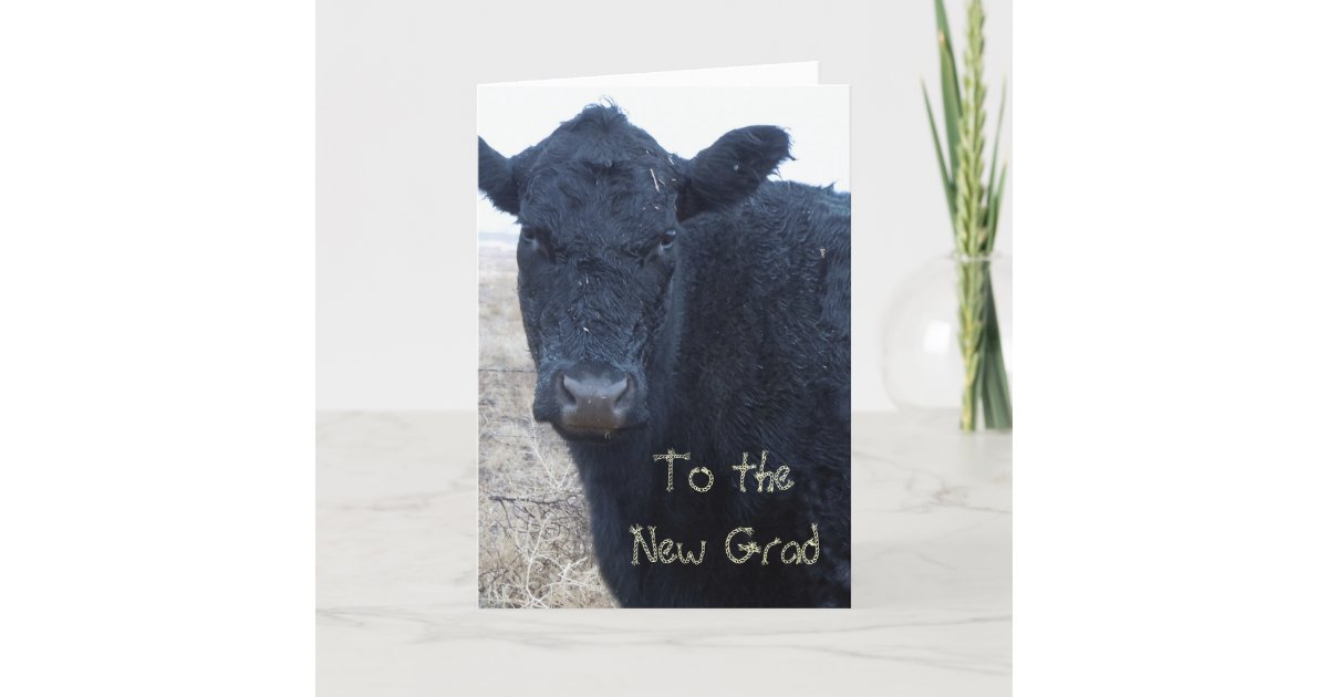 Silly Graduation Congratulations Cow Ranch Farm Card | Zazzle