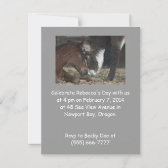 Silly Horse and Donkey Birthday Party Invitation | Zazzle