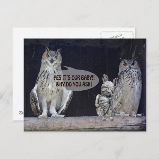 Silly Question Postcard | Zazzle