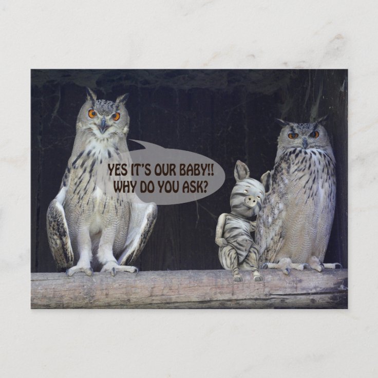 Silly Question Postcard | Zazzle