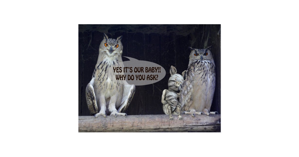 Silly Question Postcard | Zazzle.com