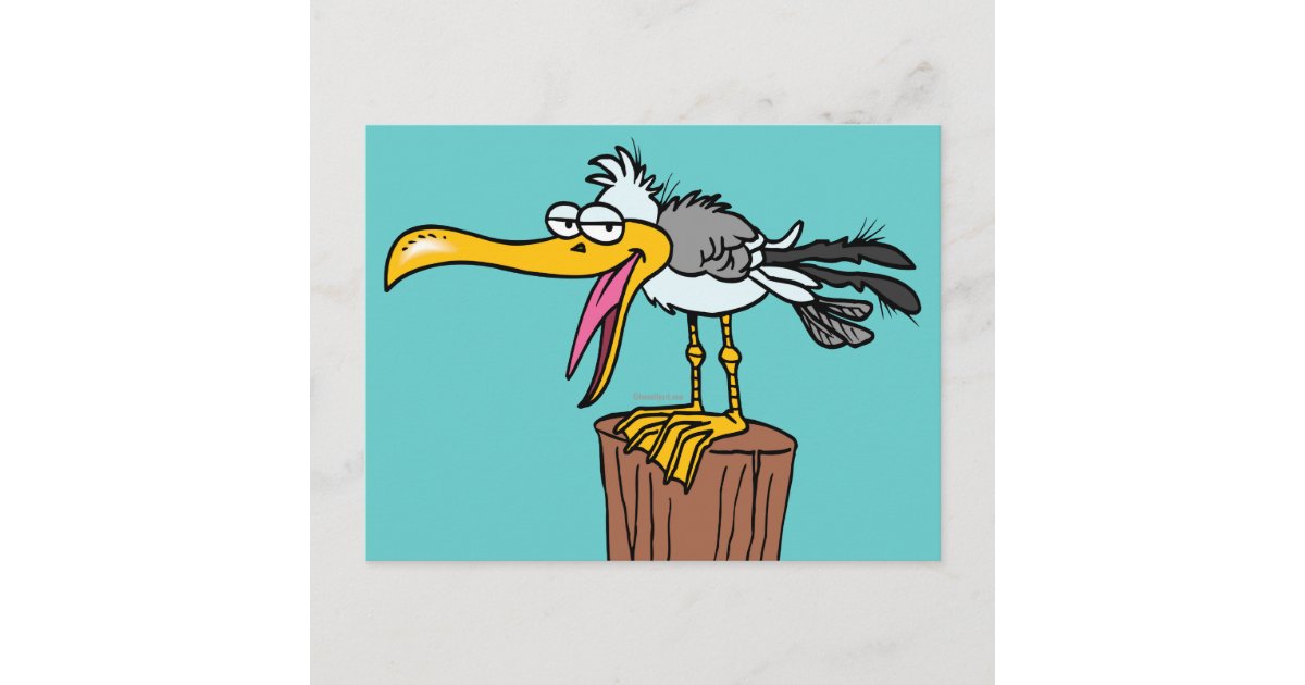 silly seagull cartoon postcard | Zazzle