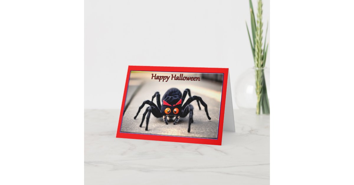 Silly Spider Halloween Card | Zazzle