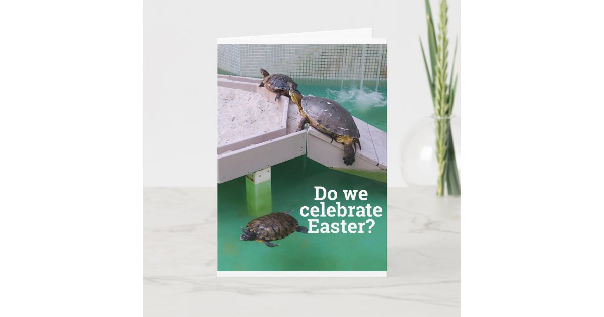 **SILLY TURTLES** WISH YOU HAPPY "EASTER" CARD | Zazzle