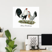 Silver Duckwing Gamefowl Poster | Zazzle