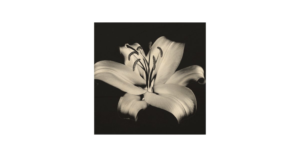 Silver Lily: Monochrome Floral Elegance. Wood Wall Art | Zazzle