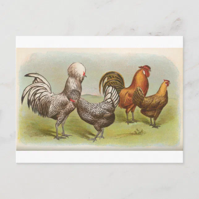 Silver Polish Postcard | Zazzle