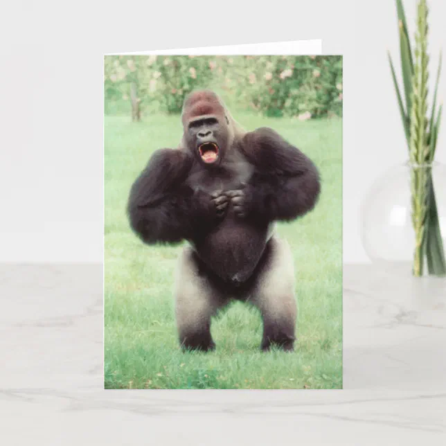 Silverback Gorilla Beating Chest Card | Zazzle