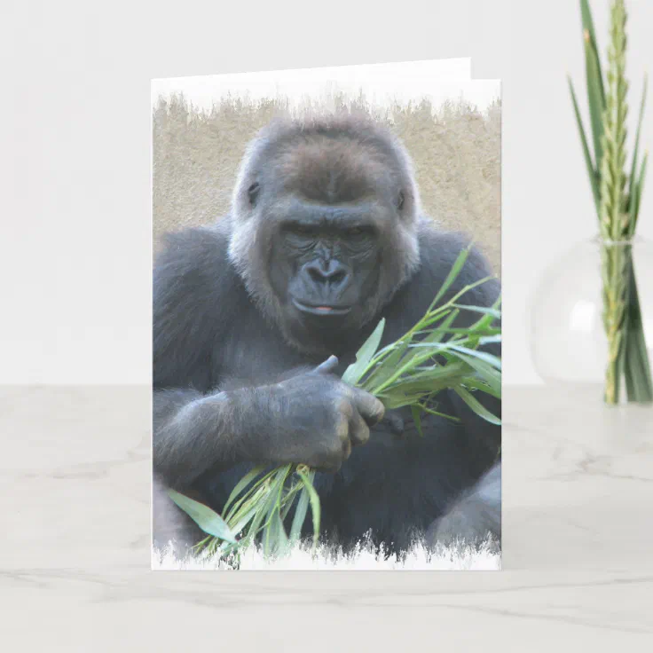 Silverback Gorilla Greeting Card | Zazzle