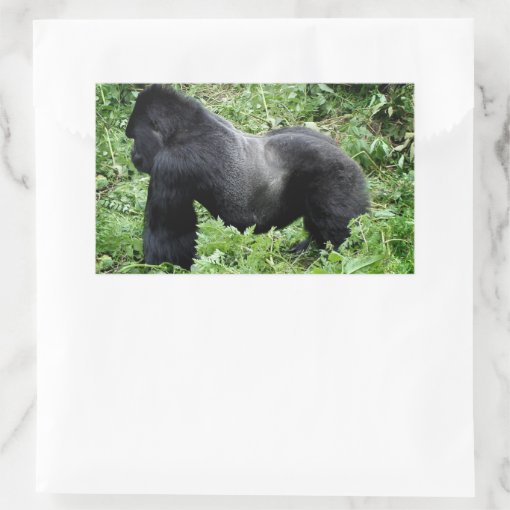 Silverback gorilla photo sticker | Zazzle