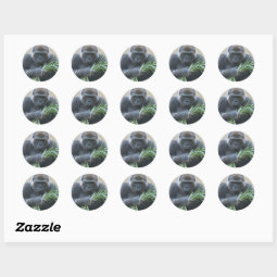 Silverback Gorilla Sticker | Zazzle