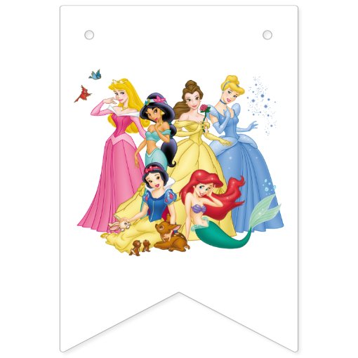Simple and Modern Disney Princess Birthday Bunting Flags | Zazzle