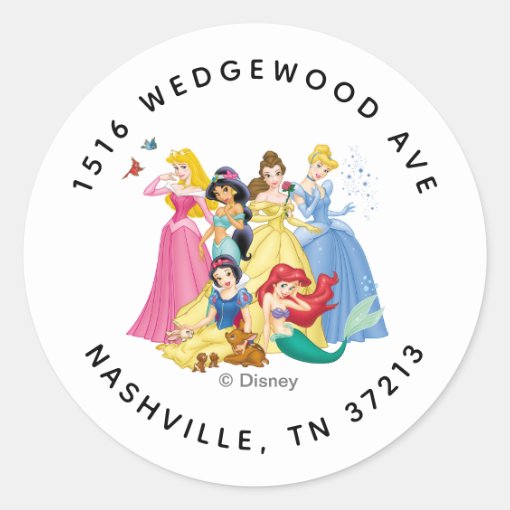Simple and Modern Disney Princess Birthday Classic Round Sticker | Zazzle