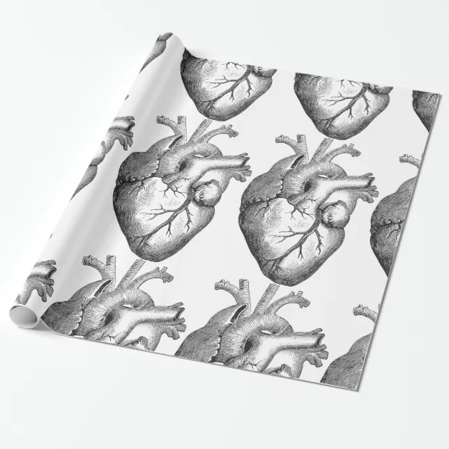 Simple Black White Anatomy Heart Illustration Wrapping Paper | Zazzle