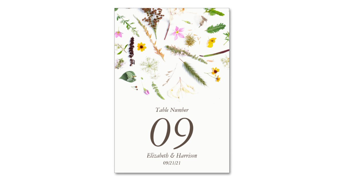 Simple Elegant Botanical Wild Flower Wedding Table Number | Zazzle