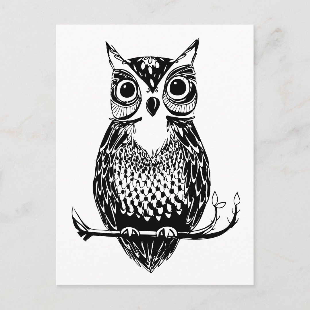 Simple Illustrated Owl Postcard | Zazzle