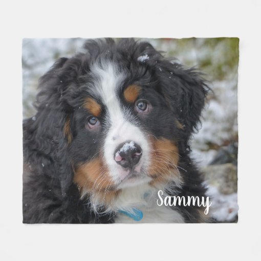 Simple Modern Custom Personalized Pet Dog Photo Fleece Blanket | Zazzle
