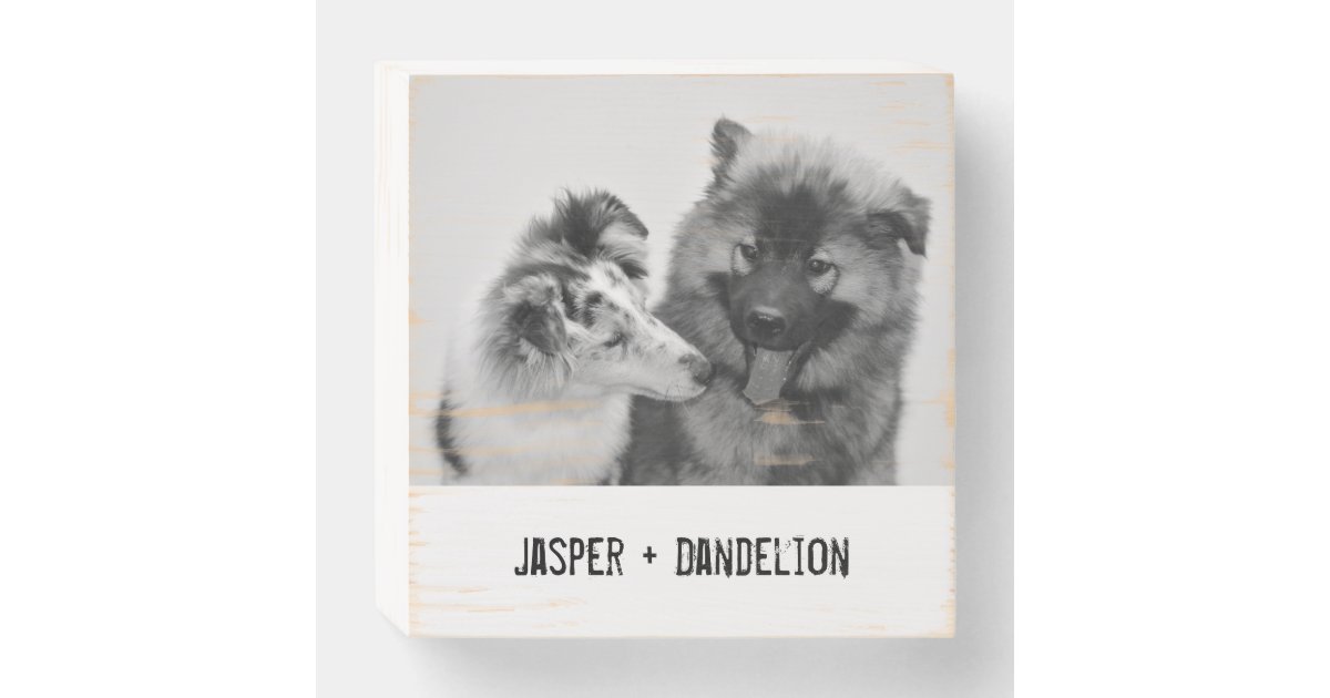 Simple, Modern Custom Pet or People Photo Wooden Box Sign | Zazzle