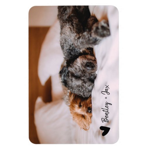Simple Modern Full Photo Pet Dog | Horizontal Magnet | Zazzle