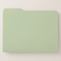 Simple Modern Light green File Folder | Zazzle