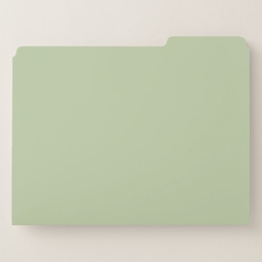 Simple Modern Light green File Folder | Zazzle