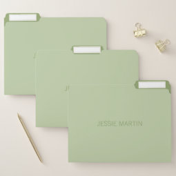 Simple Modern Light green File Folder | Zazzle