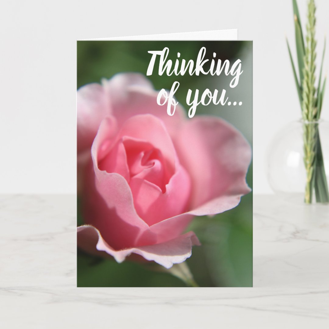 Simple Pink Rose Thinking of You Card | Zazzle
