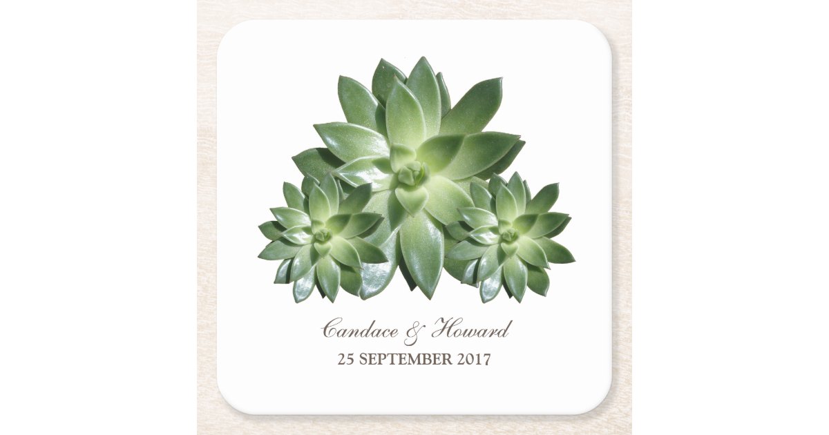 Simple Succulent Wedding Paper Coasters | Zazzle