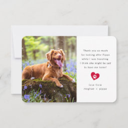 Simple Two Photo Pet Sitter Thank You Card | Zazzle
