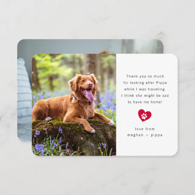 Simple Two Photo Pet Sitter Thank You Card | Zazzle