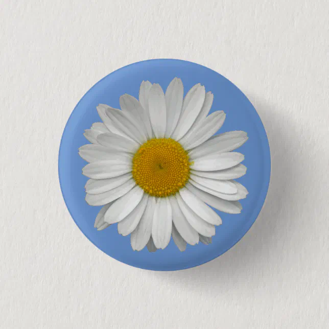 Simple White Daisy Flower on Light Blue Button | Zazzle