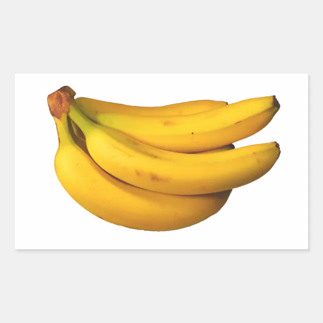 Simply Yellow Bananas Photo in a Bunch Rectangular Sticker | Zazzle