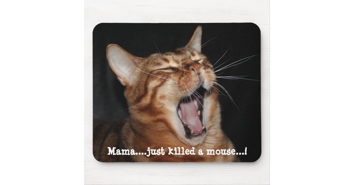 Singing Bengal Cat Queen Song Parody Meme Mouse Pad | Zazzle