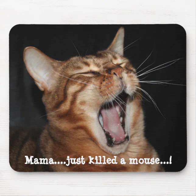 Singing Bengal Cat Queen Song Parody Meme Mouse Pad | Zazzle