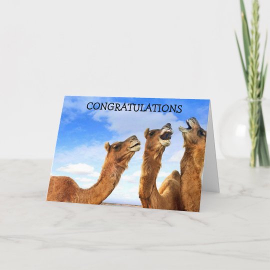 SINGING CAMELS SAY "CONGRATULATIONS" IN UNI-SONG! CARD | Zazzle.com