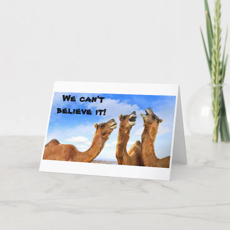 SINGING CAMELS SING THE BLUES-GET WELL CARD | Zazzle