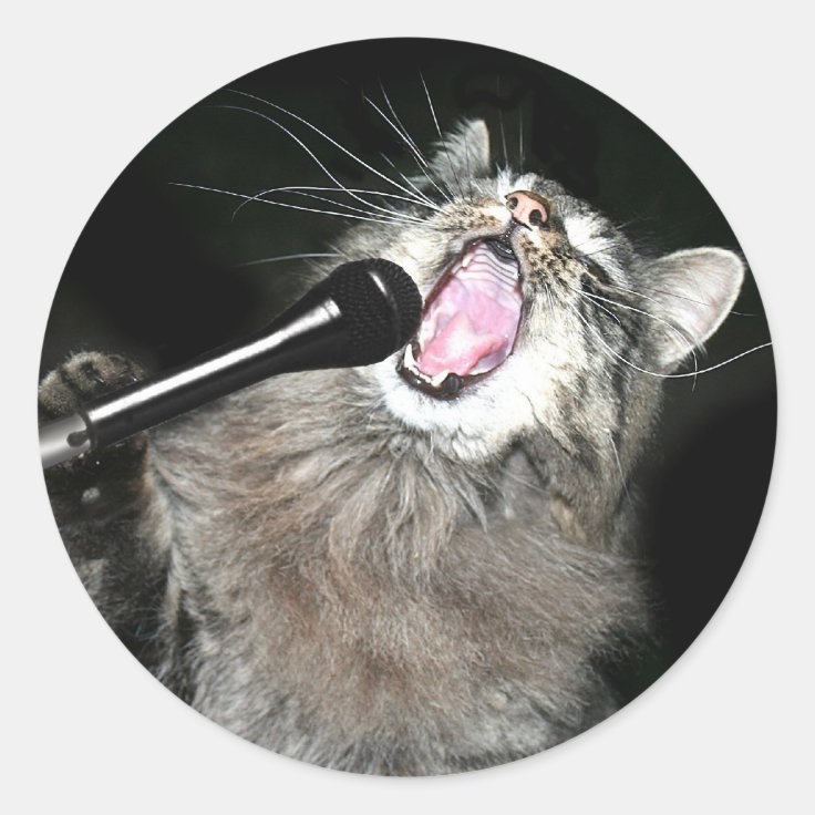 Singing cat classic round sticker | Zazzle