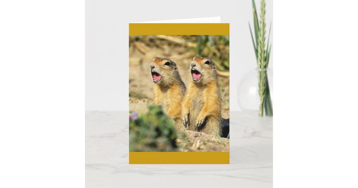 Singing Prairie Dogs Card | Zazzle
