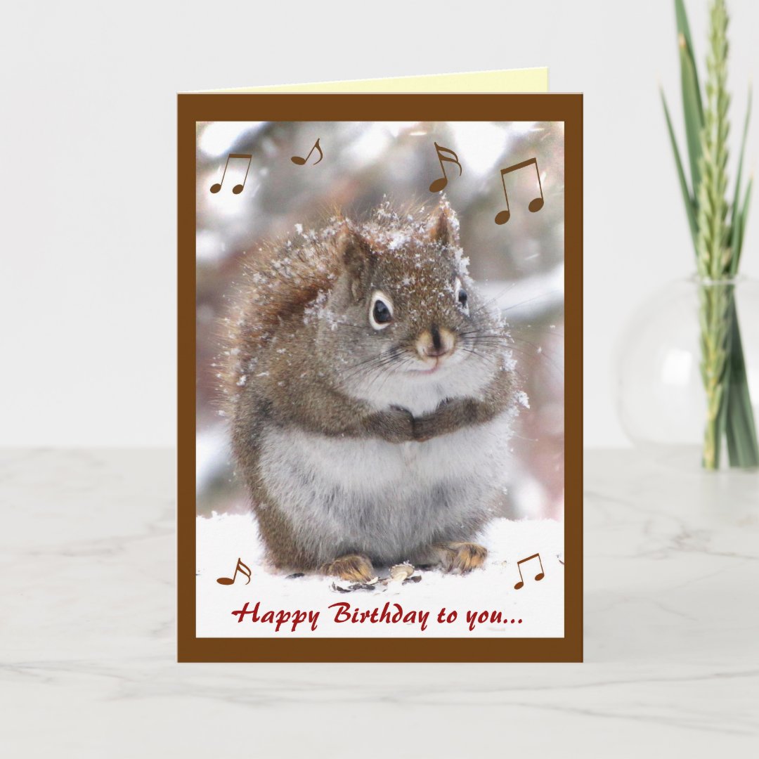 Singing Squirrel Birthday Card | Zazzle