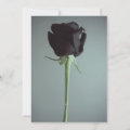 Single Black Moody Grey Romantic Elegant Wedding Invitation | Zazzle
