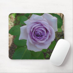 Single Purple Rose Mouse Pad | Zazzle