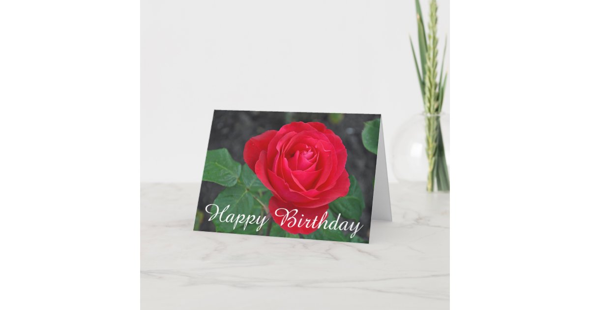 Single red rose birthday card | Zazzle