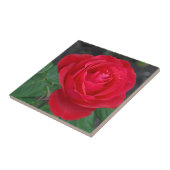 Single red rose ceramic tile | Zazzle